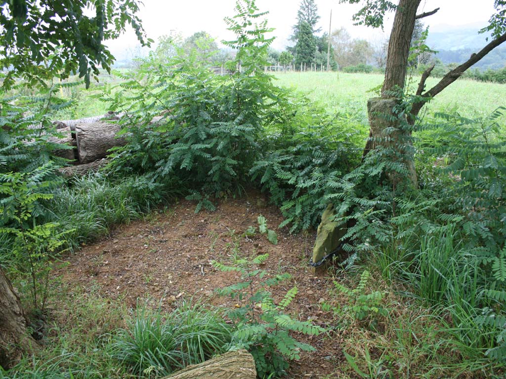 MARIOLA | Aranzadi — Zientzia elkartea